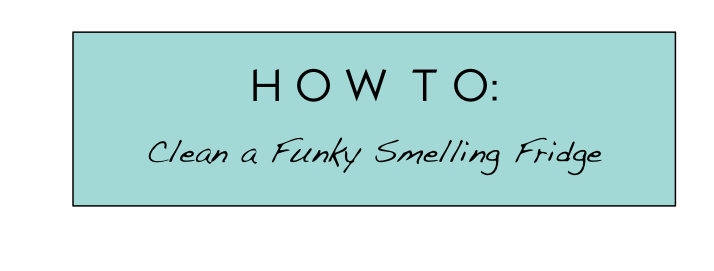 How To: Clean a Funky Smelling Fridge – CosyRumah